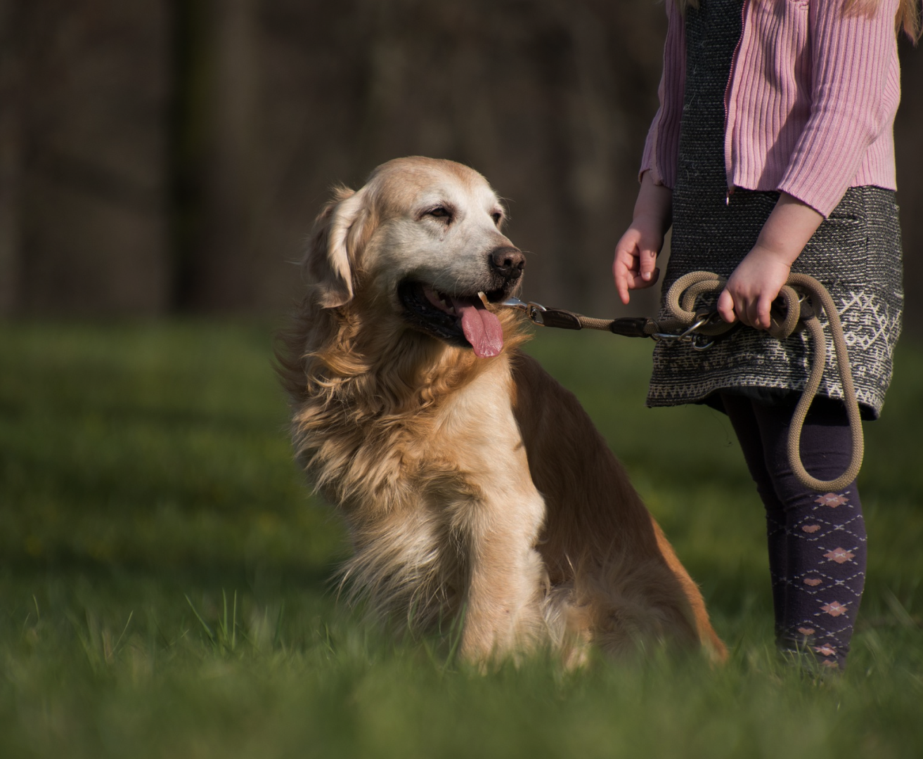 CUDDLY Administrator